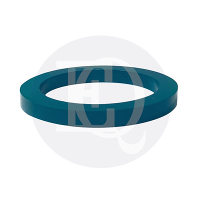 Sanitary Gaskets