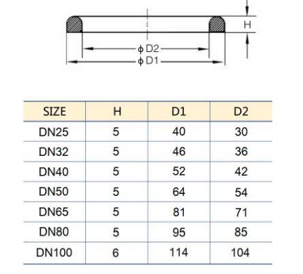 Gasket Din union DN32 Silicon
